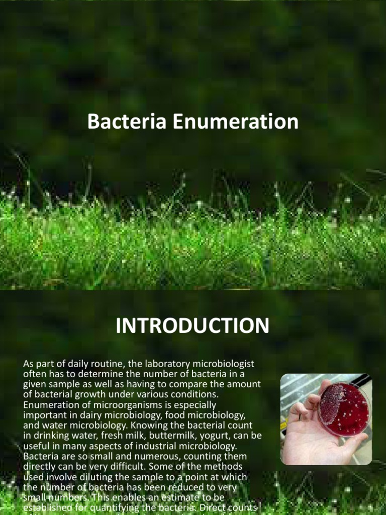 Bacteria Enumeration Pdf Colony Forming Unit Absorbance