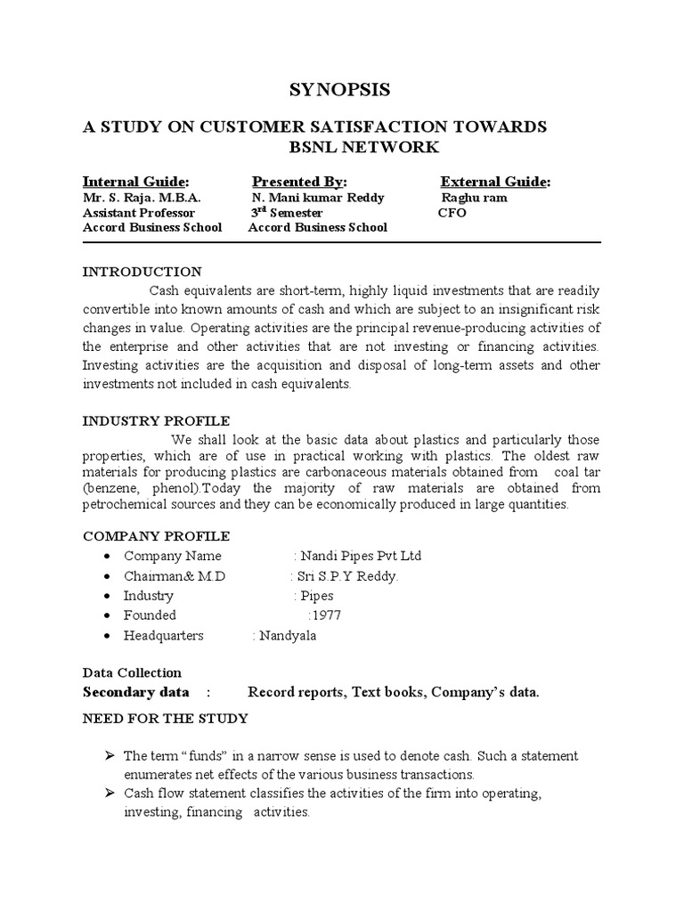 Mani New Synop | PDF | Cash Flow Statement | Money