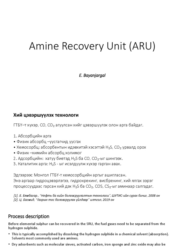 Amine Recovery Unit (ARU) : E. Bayanjargal | PDF | Amine | Chemical ...