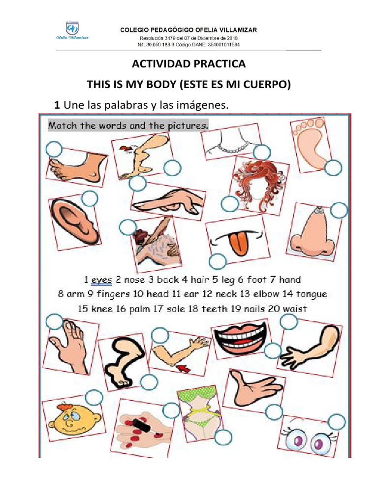 Actividad Practica 2 Las Partes Del Cuerpo En Ingles 21 De Agosto Pdf