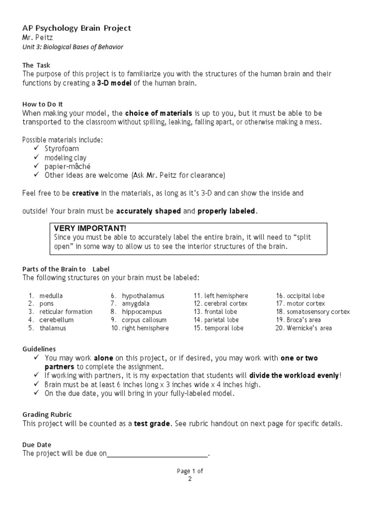 AP Psychology Brain Project: Unit 3: Biological Bases of Behavior | PDF ...