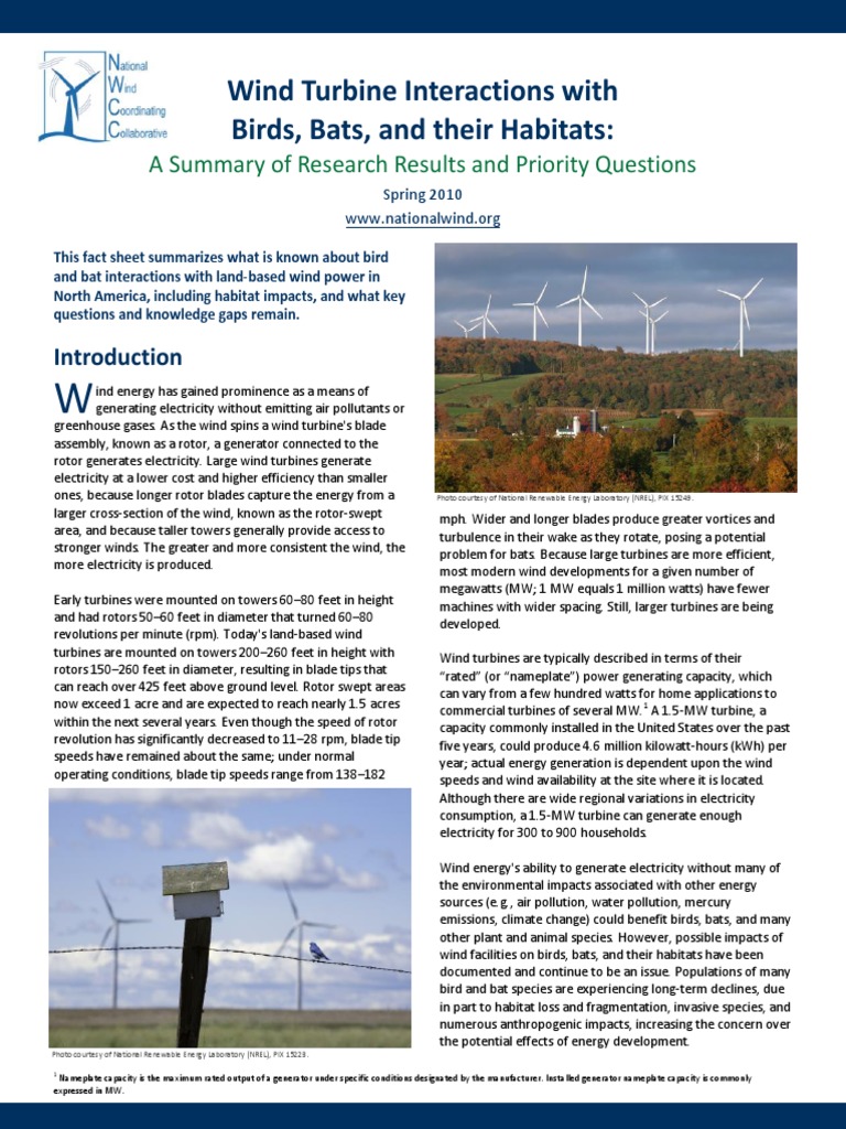 Birds and Bats Fact Sheet | PDF | Wind Turbine | Wind Farm