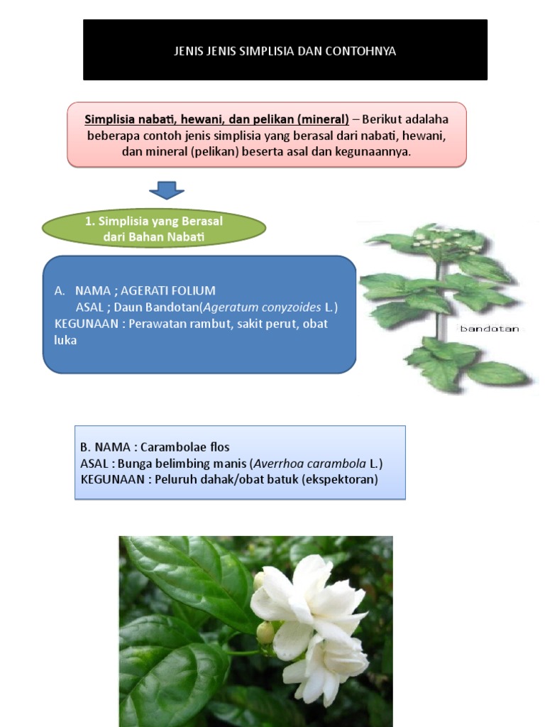 Rizki Wahyudi - 194840133 - Jenis Simplisia | PDF | Sains & Matematika