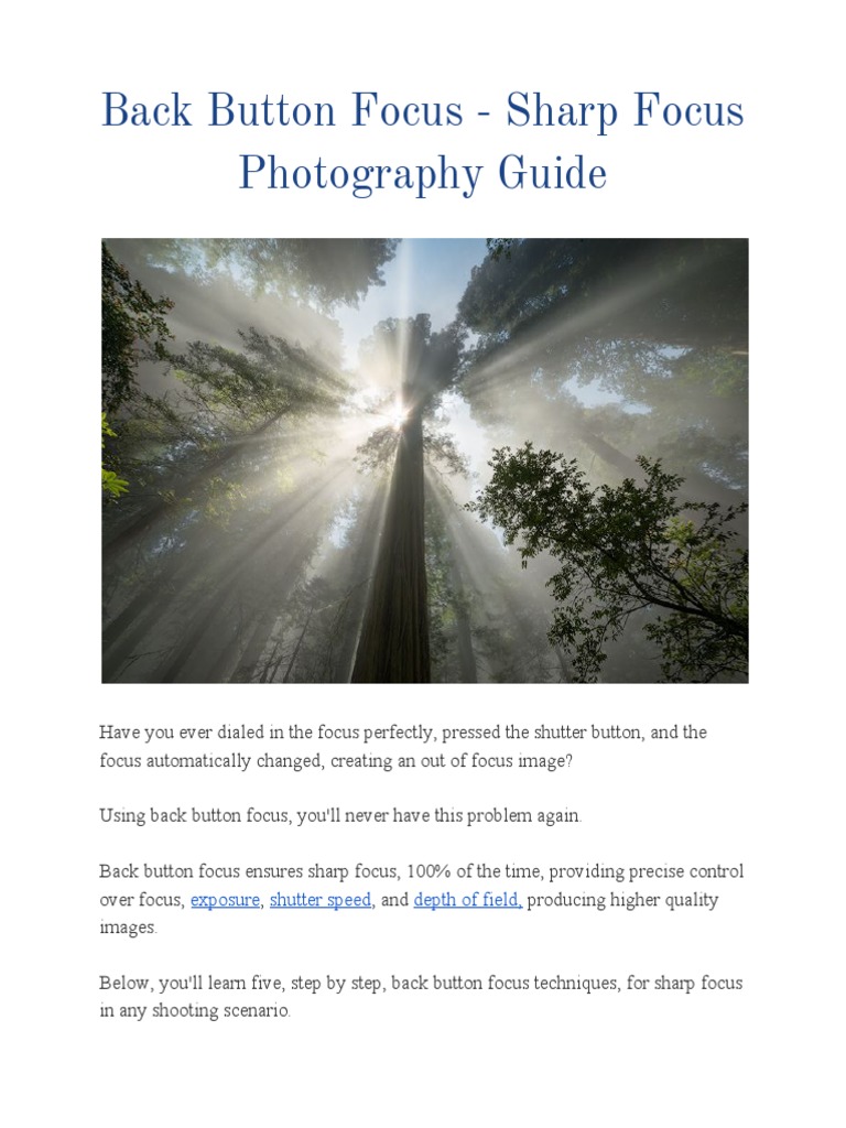Back Button Focus Sharp Focus Photography Guide From Dave Morrow Photography | PDF | Digital ...