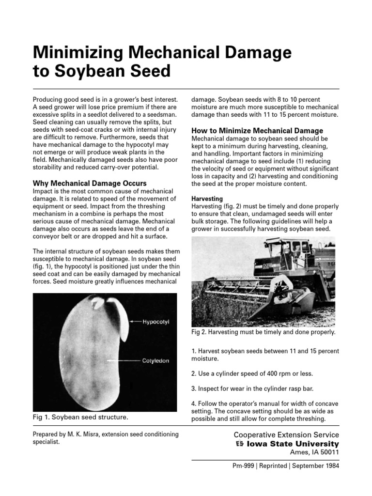 Minimizing Damage to Soybean Seeds | PDF | Seed | Elevator