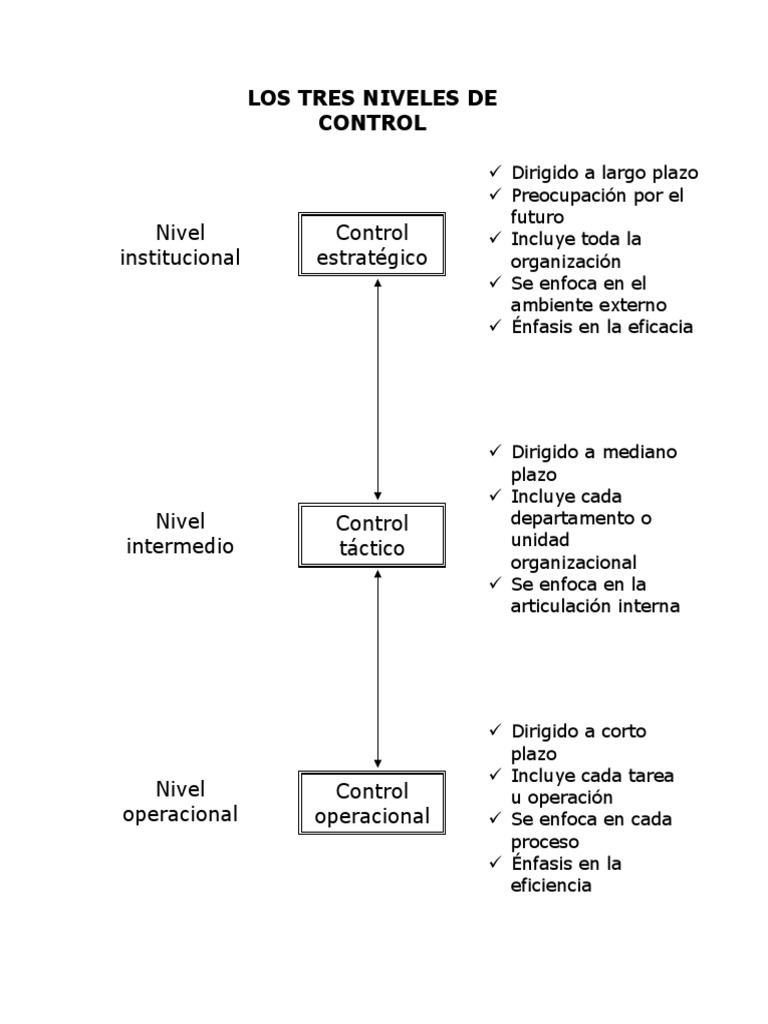 Los Tres Niveles de Control | PDF