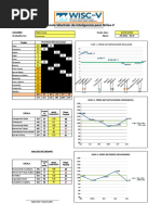 Protocolo de Registro Wisc V | PDF | Neuropsicología | Cognición