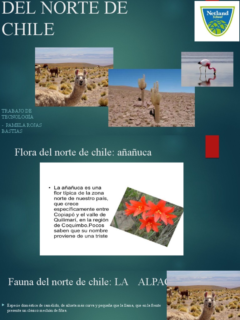 Flora y Fauna Del Norte de Chile. | PDF