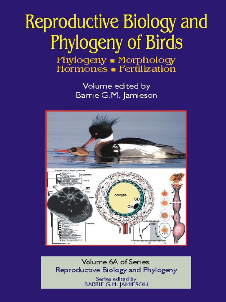 Reproductive Biology and Phylogeny of Birds PDF | PDF | Birds | Paravians