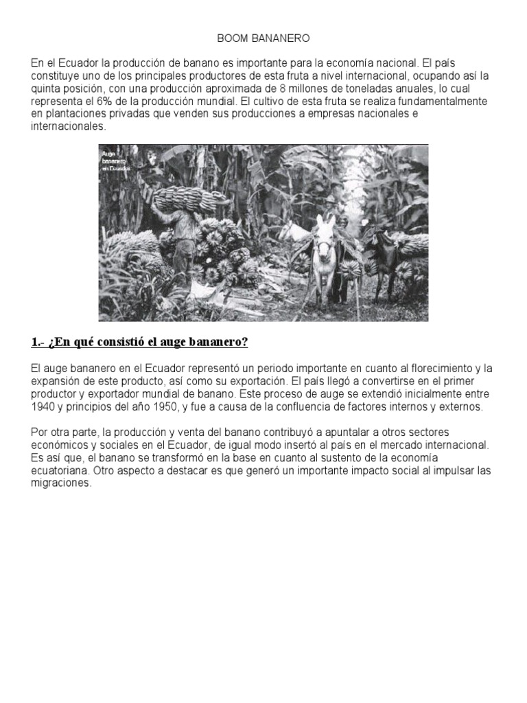 Auge bananero en Ecuador: impacto y contexto | PDF | Política