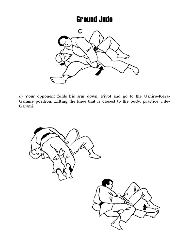 Ground Judo | PDF