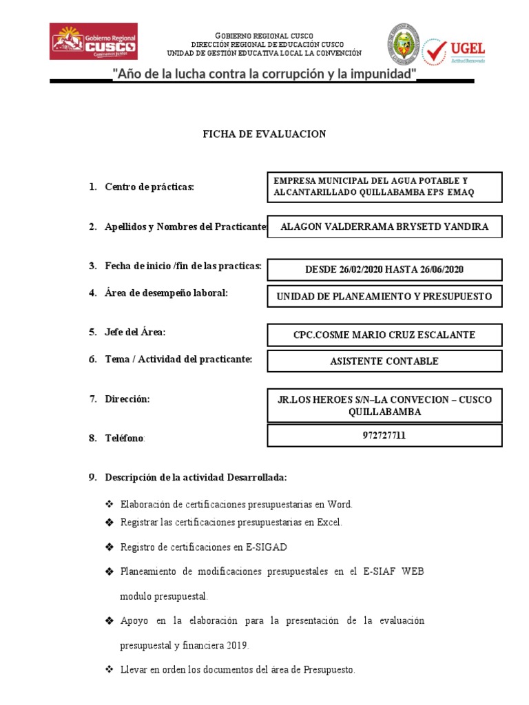 FICHA DE EVALUACIÓN de PPF | PDF | Contador | Presupuesto