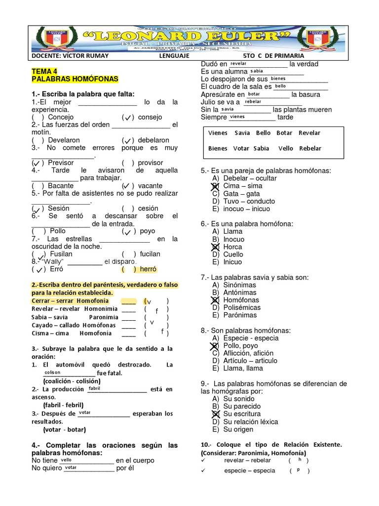 Palabras Homofonas 5to B | PDF | Vocabulario | Unidades Semánticas