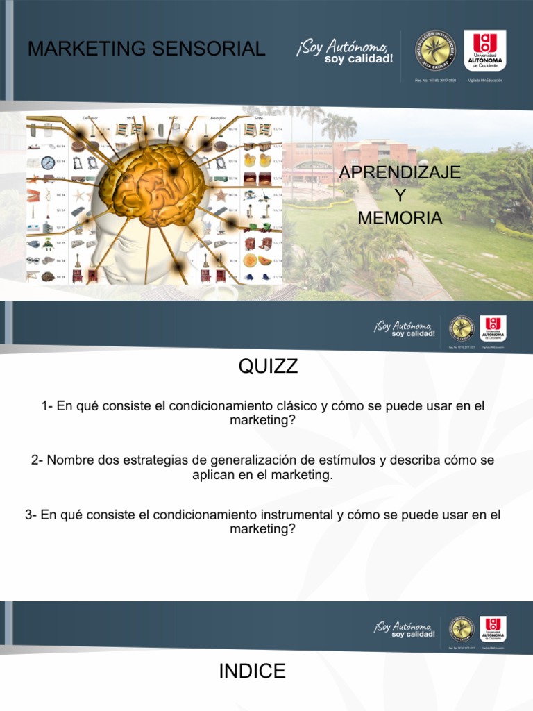 Aprendizaje Y Memoria Pdf Pdf Memoria Neuropsicología
