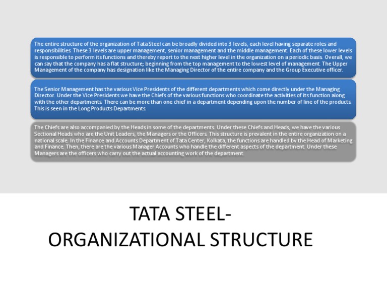 Tata Steel-Organizational Structure | PDF