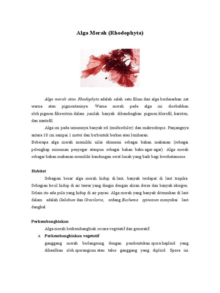 Alga Merah | PDF