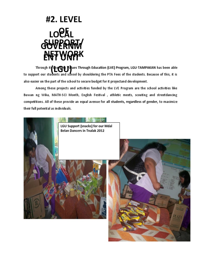 #2. LEVEL OF Support/ Network Local Governm Ent Unit (LGU) | PDF ...