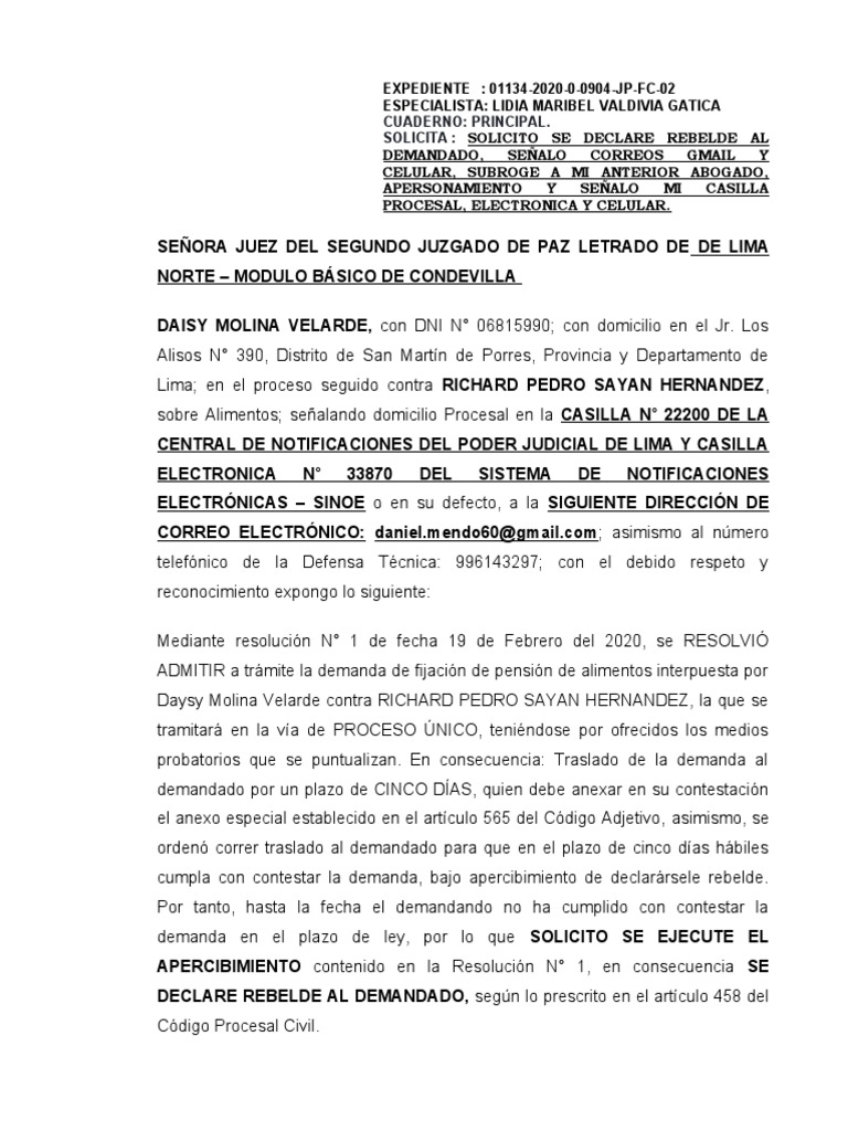 Escrito Apersonamiento, Rebelde y Señalo Gmail-Daisy Molina Velarde ...