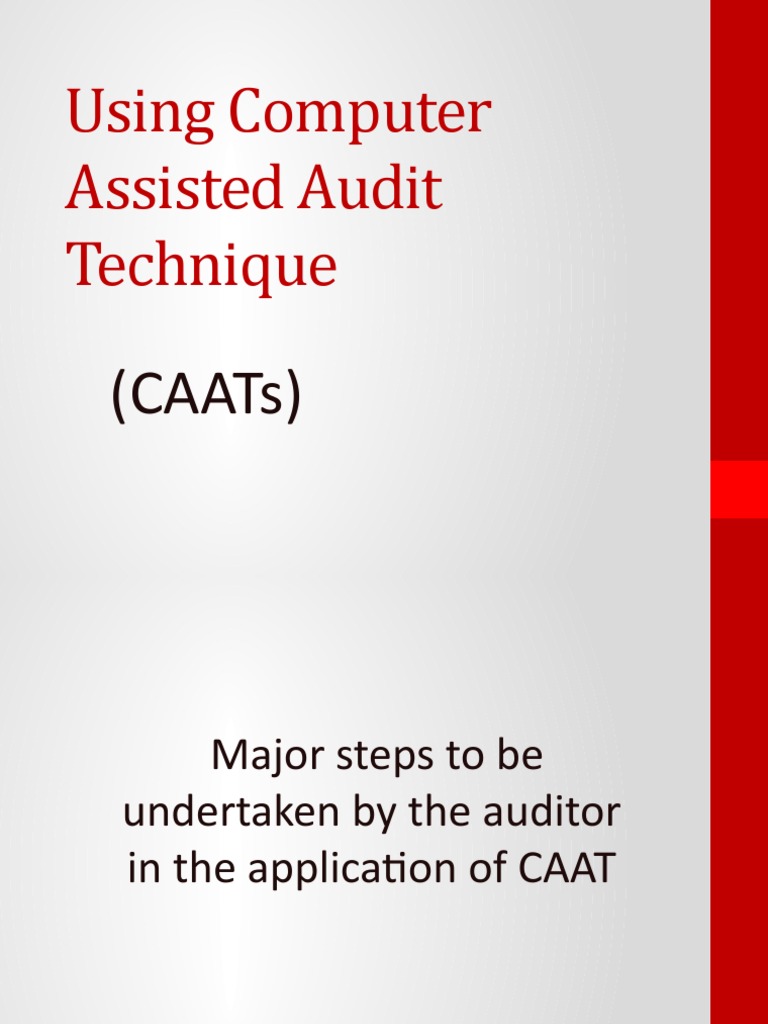 Using Computer Assisted Audit Technique | PDF
