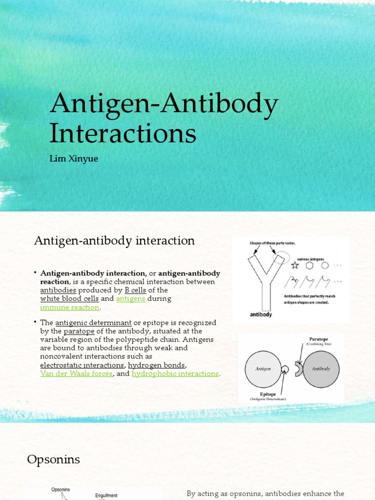 Antigen Antibody Interactions Pdf Antibody Complement System 9374