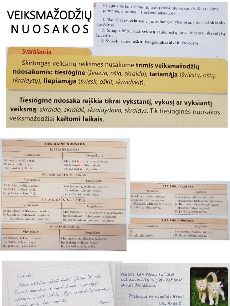 Veiksmažodžių Nuosakos | PDF