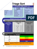 Glasgow Coma Scale Assessment Chart | PDF