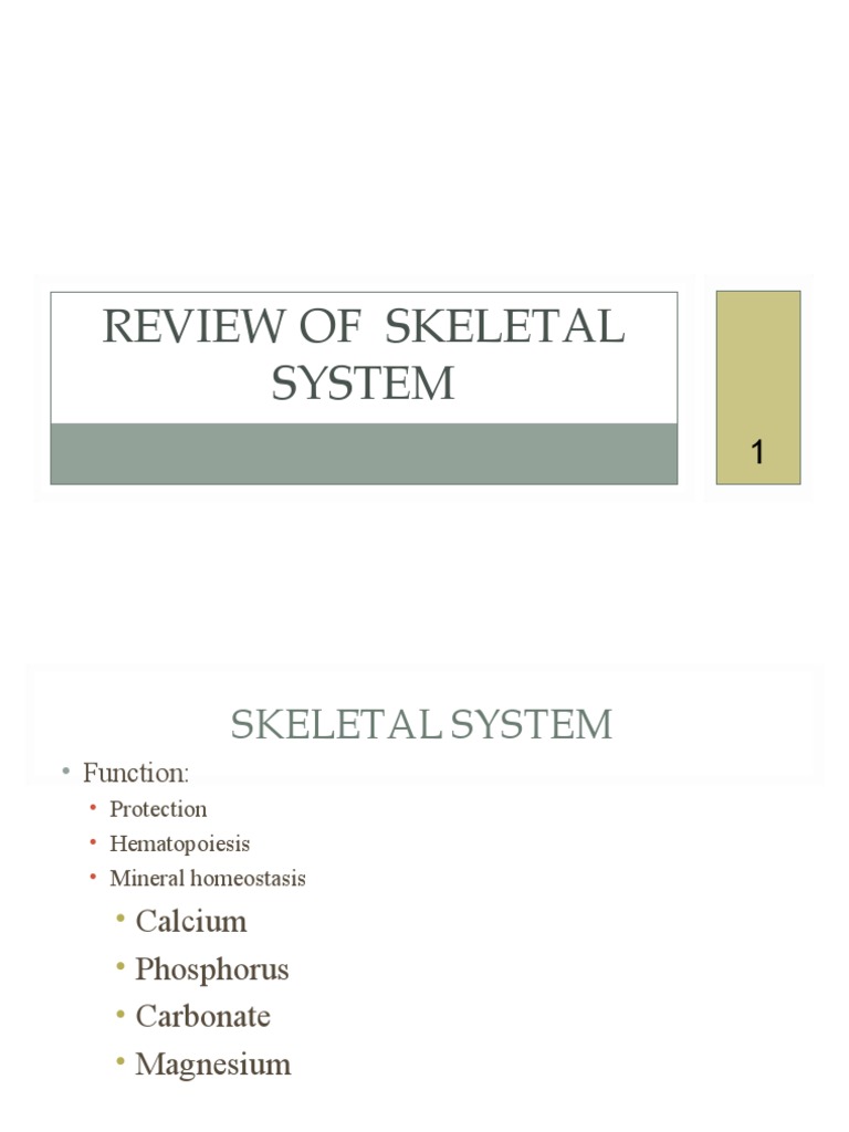 Musculoskeletal Pathophysiology | PDF | Osteoporosis | Bone