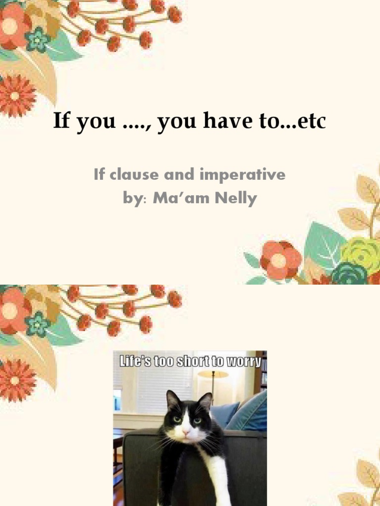 If - Clause and Imperative | PDF