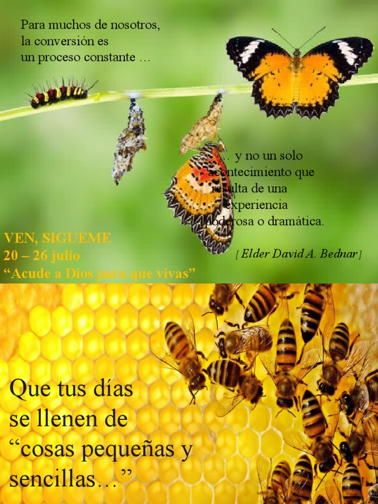 La Conversión | PDF