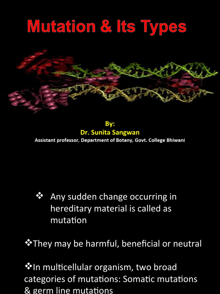 Mutation & Its Types | Download Free PDF | Mutation | Genetic Code