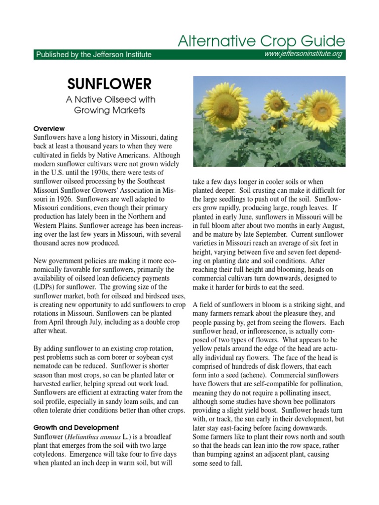 Sunflower Crop Management in Missouri | PDF | Wheat | Vegetable Oil