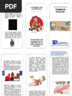 Triptico Primeros Auxilios | PDF | Herida | Primeros auxilios