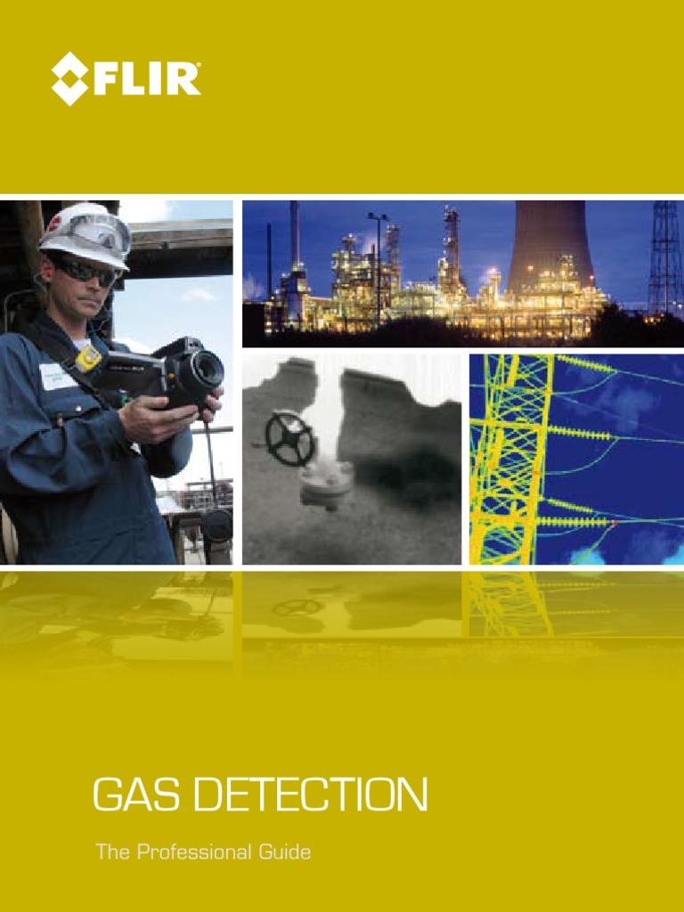 Gas Detection: The Professional Guide | PDF