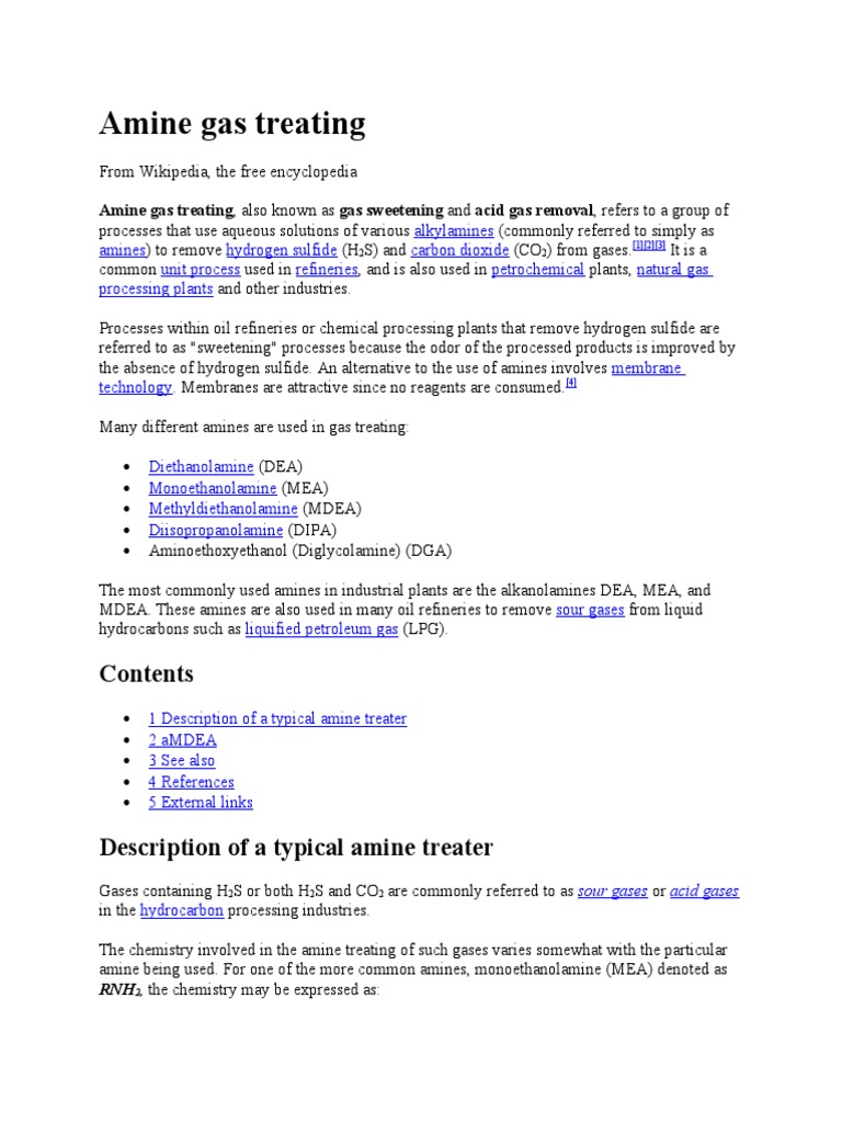 Amine Gas Treating | PDF | Process Engineering | Hydrocarbons