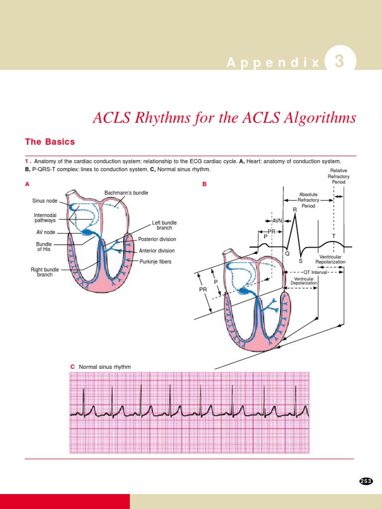 ACLS Rhythms For The ACLS Algorithms: Appendix | PDF ...