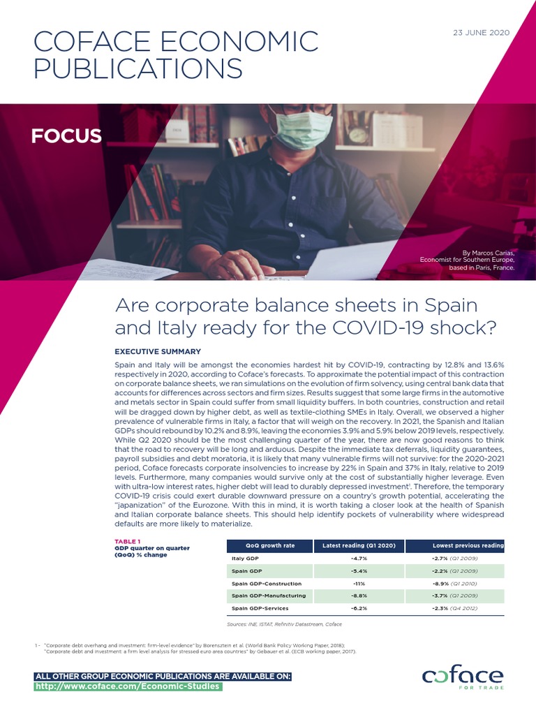 Coface Economic Publications: Focus | PDF | Deleveraging | Euro