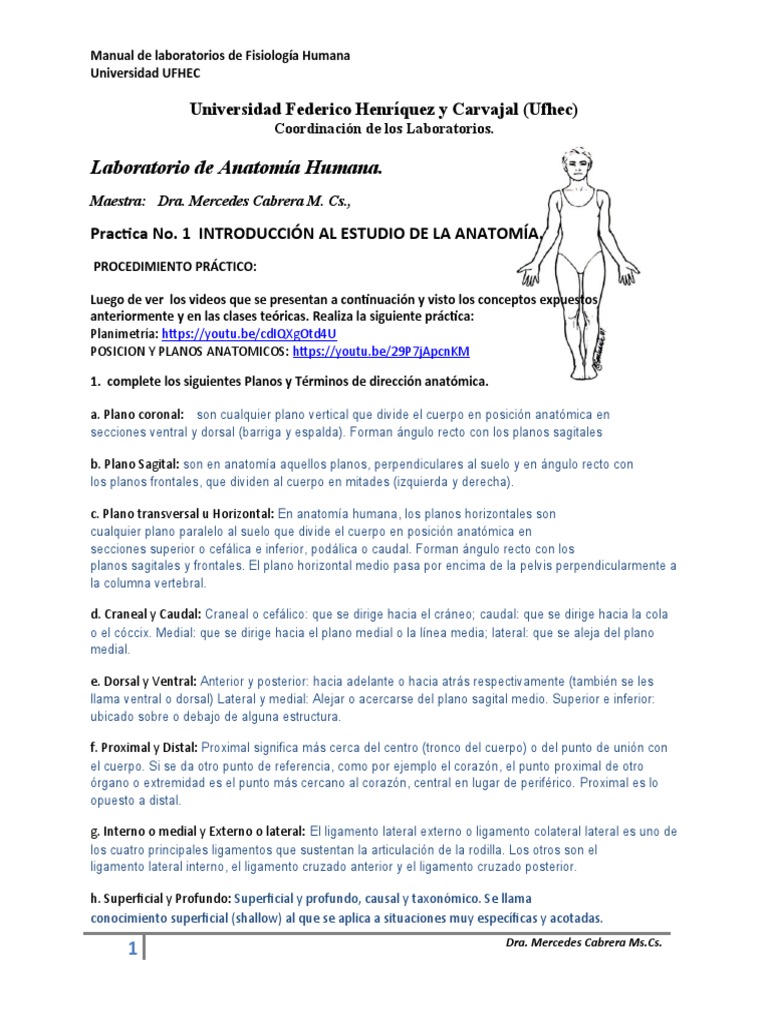 Lab. Anatomia | PDF | Términos anatómicos de ubicación | Anatomía