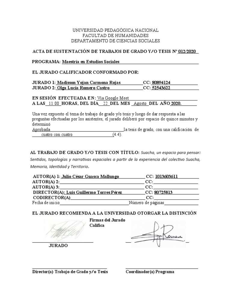 Acta 012 de 2020 Julio César Guasca Mallungo | PDF