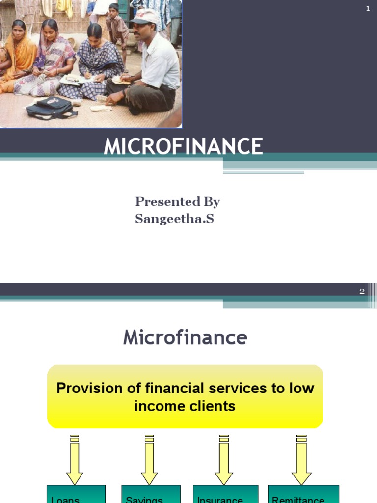 Microfinance Services Overview | PDF | Microfinance | Loans