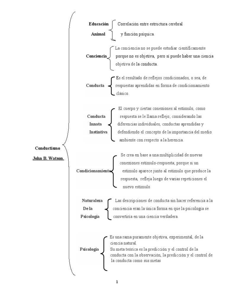 Conceptos Mapa en Llaves | PDF | Las emociones | Comportamiento