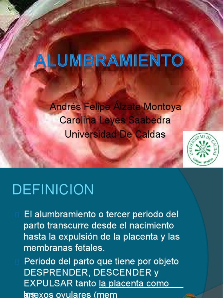 Alumbramiento | PDF | Placenta | Parto