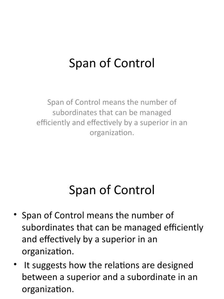 1391 1592896028 Span of Control | PDF