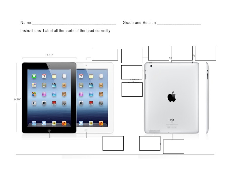 Name: - Grade and Section: - Instructions: Label All The Parts of The ...