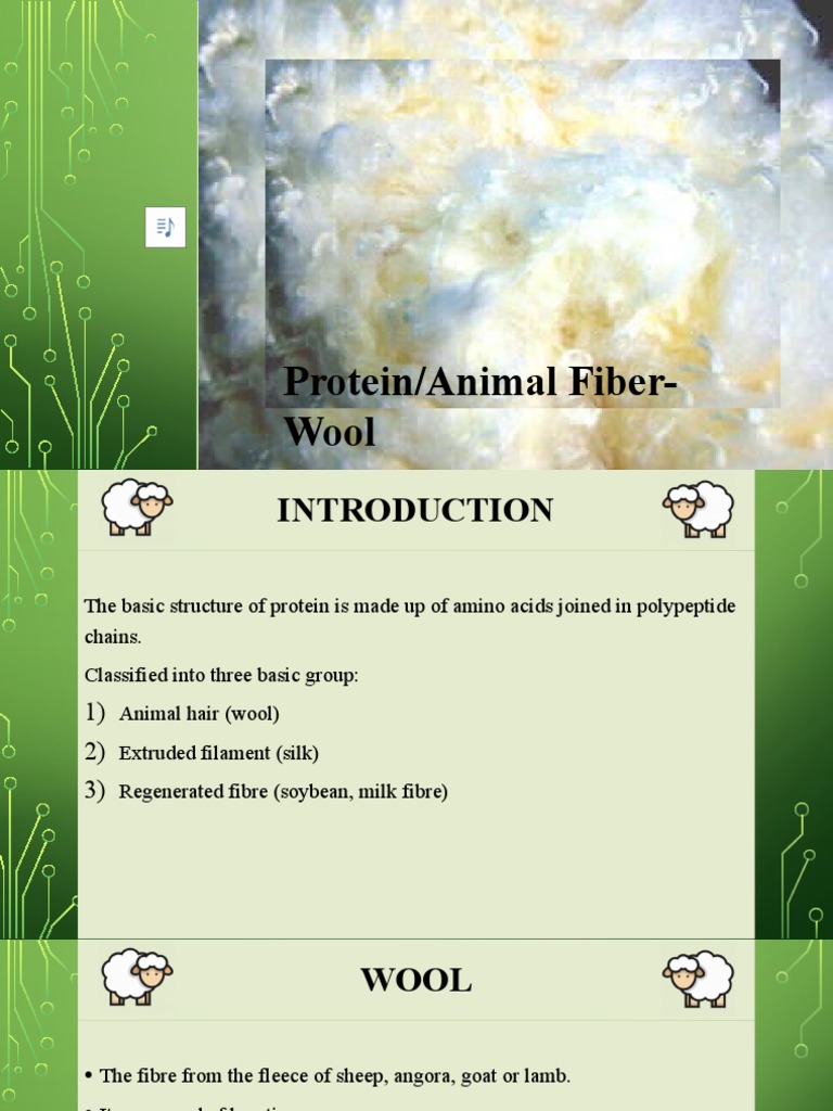 Protein Wool | PDF | Wool | Yarn