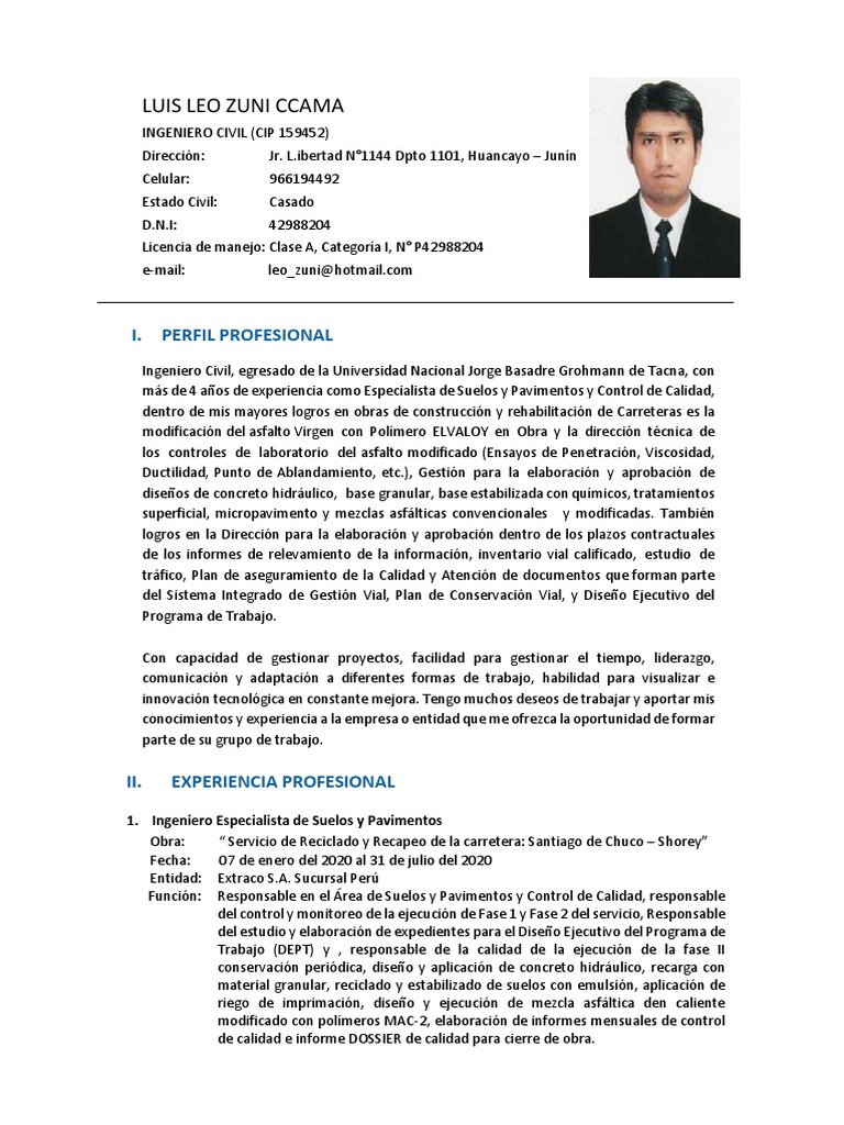 CV Luis Zuni Actualizado Al 01-08-20 | PDF | Hormigón | Ingeniería