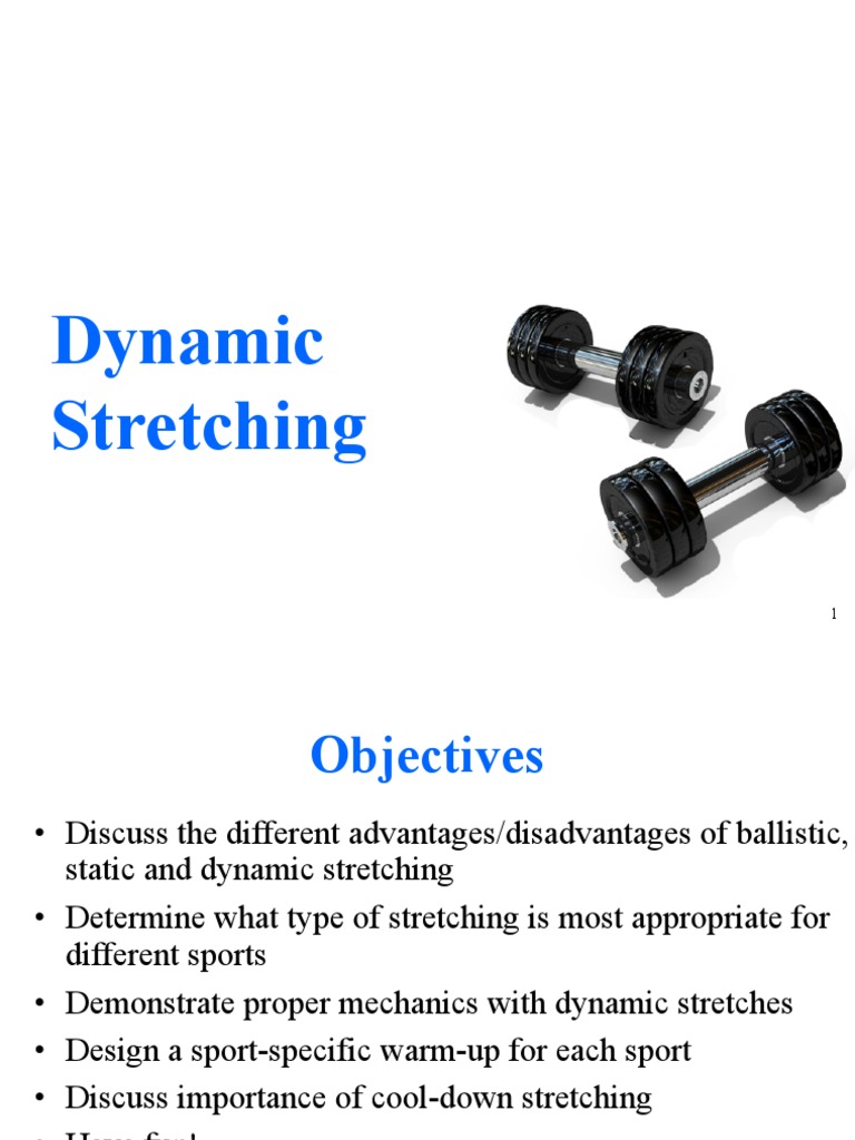 Dynamic Stretching | PDF | Musculoskeletal System | Management Of Obesity