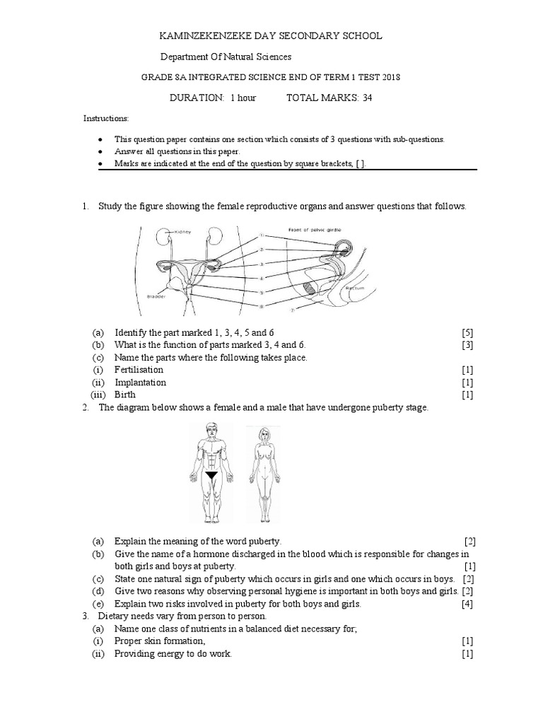 Grade 8a Integrated Science Test 3 | PDF | Puberty | Medical Specialties