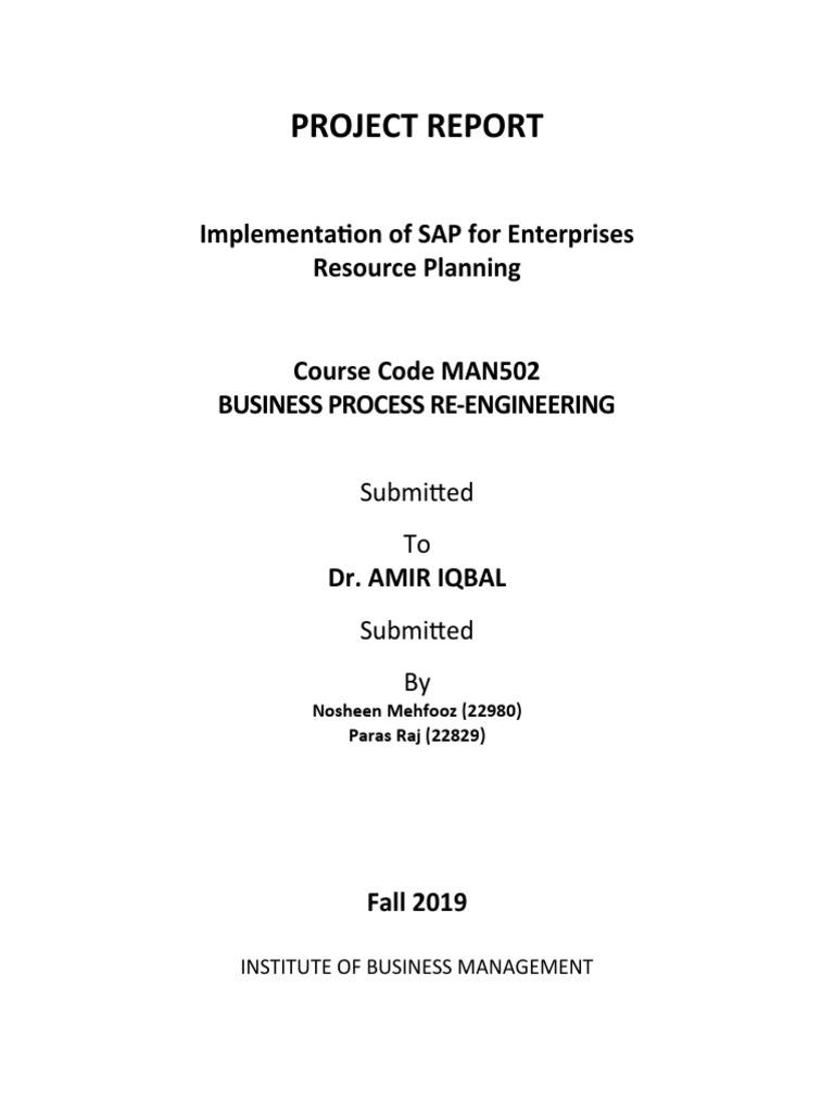 BPR Project Report | PDF | Enterprise Resource Planning | Inventory