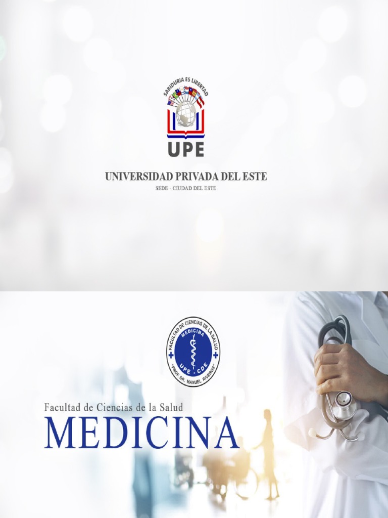 Pie Bot | PDF | Pie | Anatomía del miembro inferior