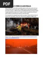 Black Saturday Bushfires: Causes & Impact | PDF | Wildfire | Hazards